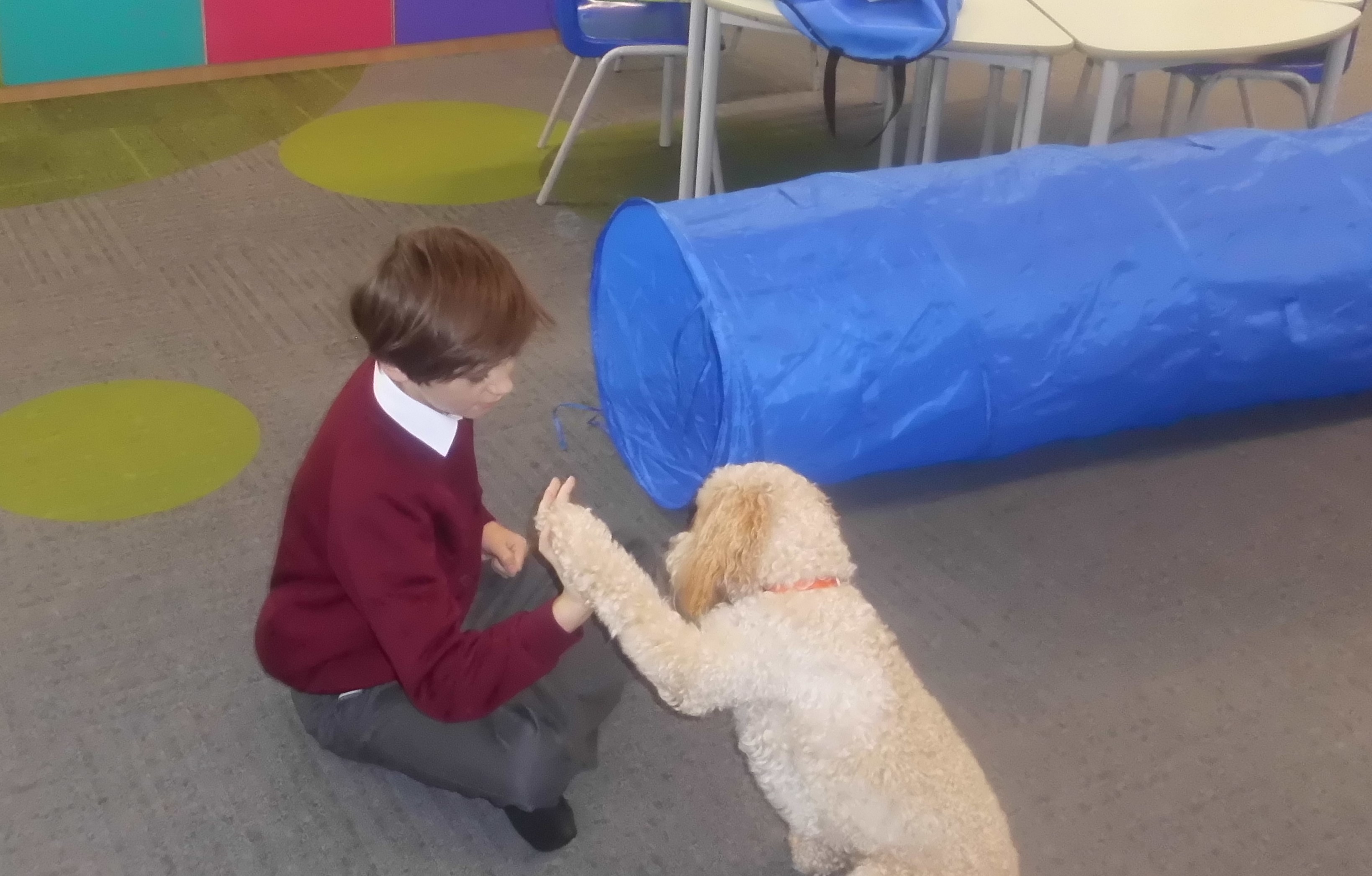 Milo – High five – St. Matthew's On-line